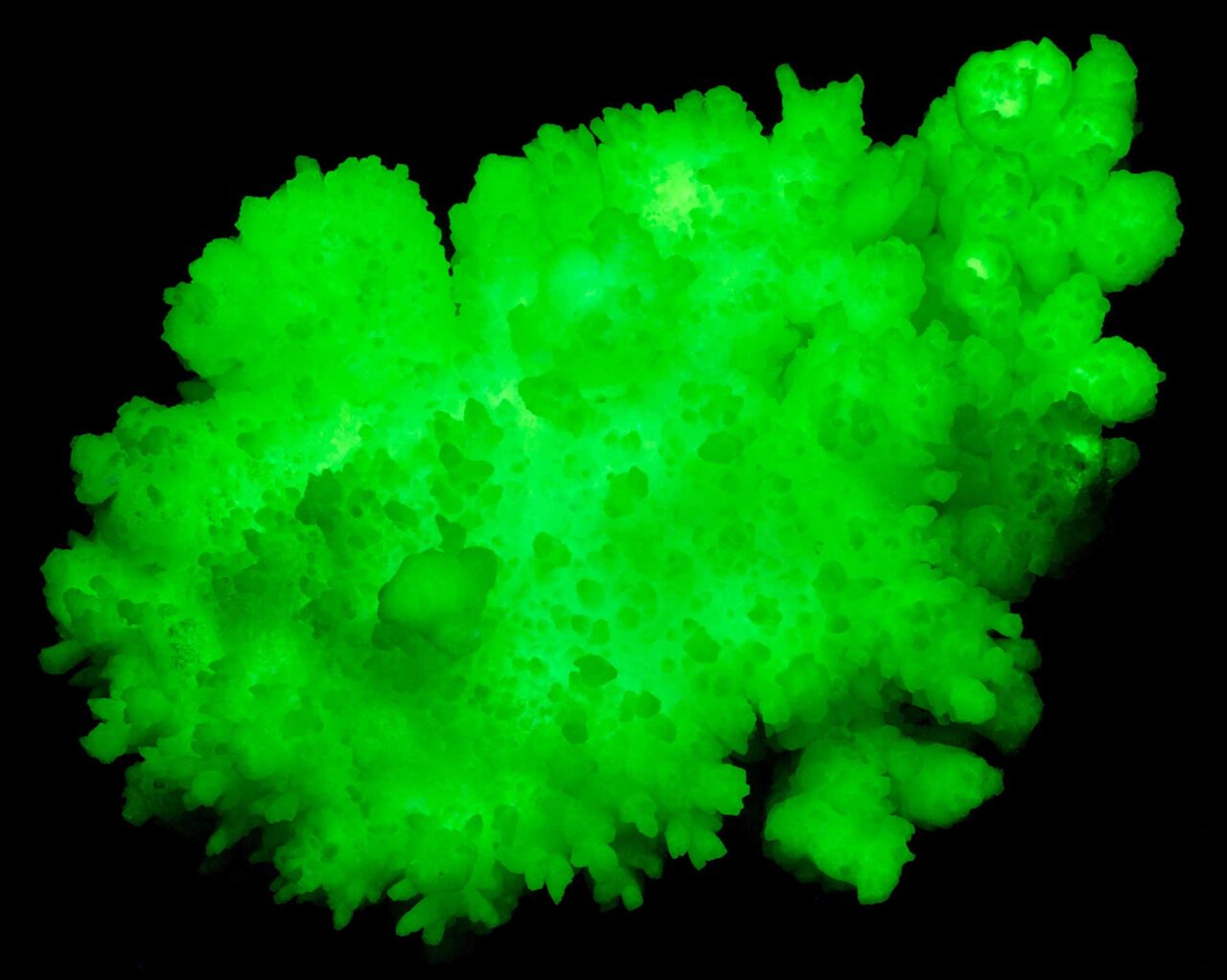Common Fluorescent Minerals - The Fluorescent Mineral Society